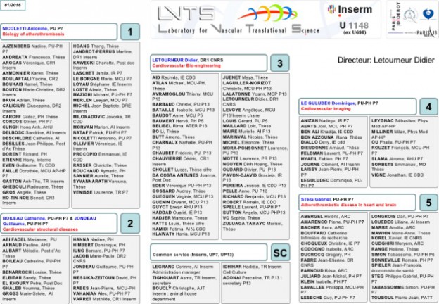 Organigramme_jan2016 – LVTS UMRS1148 INSERM UP Cité USPN