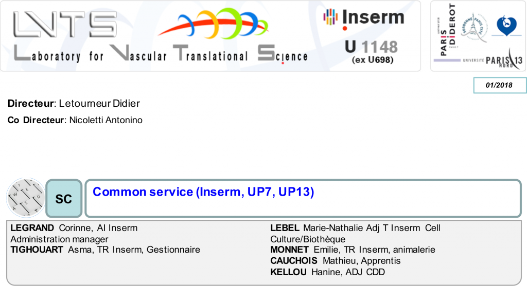 Organigramme-jan 2018_0 copy – LVTS UMRS1148 INSERM UP Cité USPN