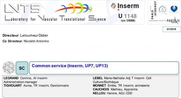 Organigramme-jan 2018_0 copy – LVTS UMRS1148 INSERM UP Cité USPN