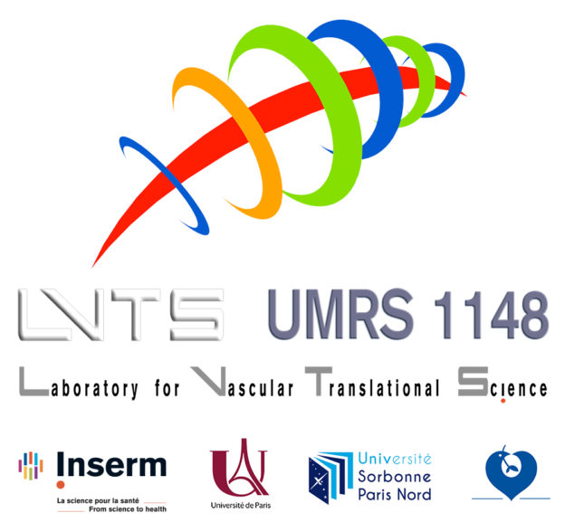 Teams – LVTS UMRS1148 INSERM UP