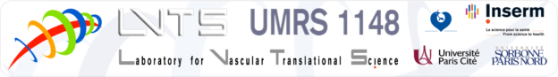 Teams – LVTS UMRS1148 INSERM UP Cité USPN